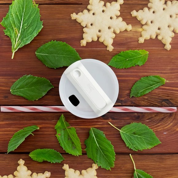 Stanley | Dining | Stanley Mistletoe Twist Quencher Flowstate Tumbler ...